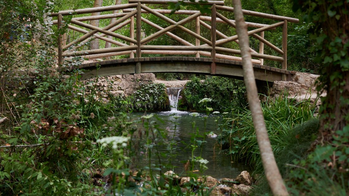 Touring the castles of Vinalopó - Drivalia